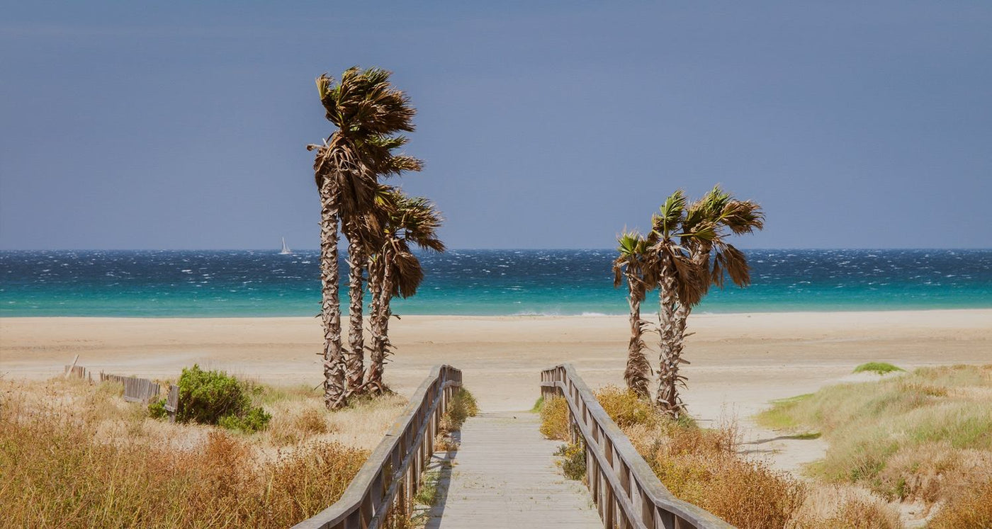 "Weather in Tarifa, Weather and Wind Forecast: Windguru, windfinder etc."